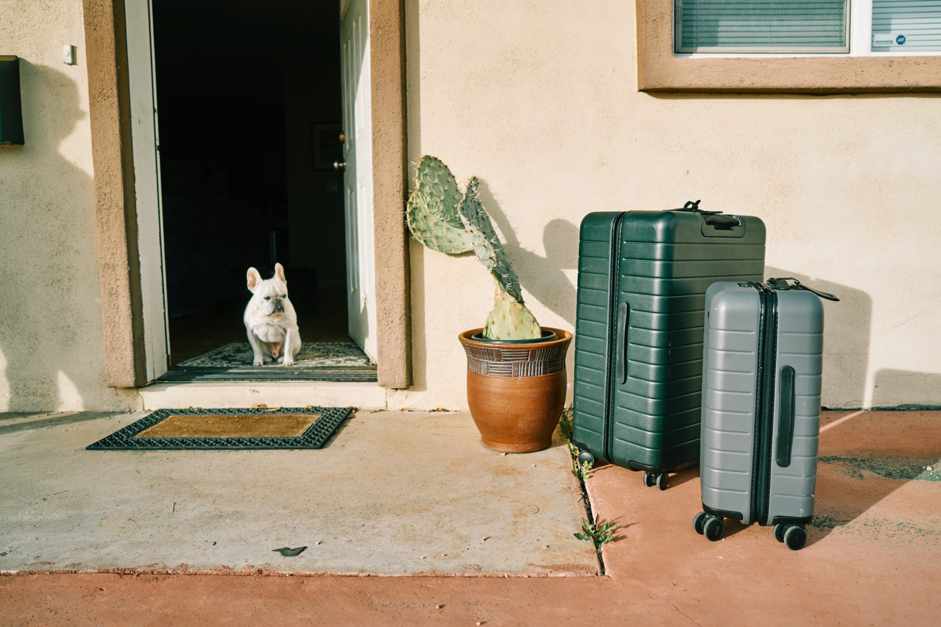 Helpful General Advice for Students Moving Away
